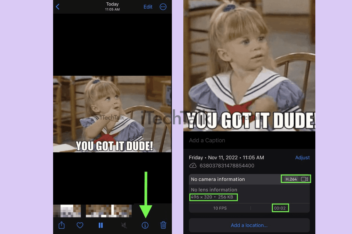 How To Convert GIF To Video (And MP4) On iPhone – iTechTalk